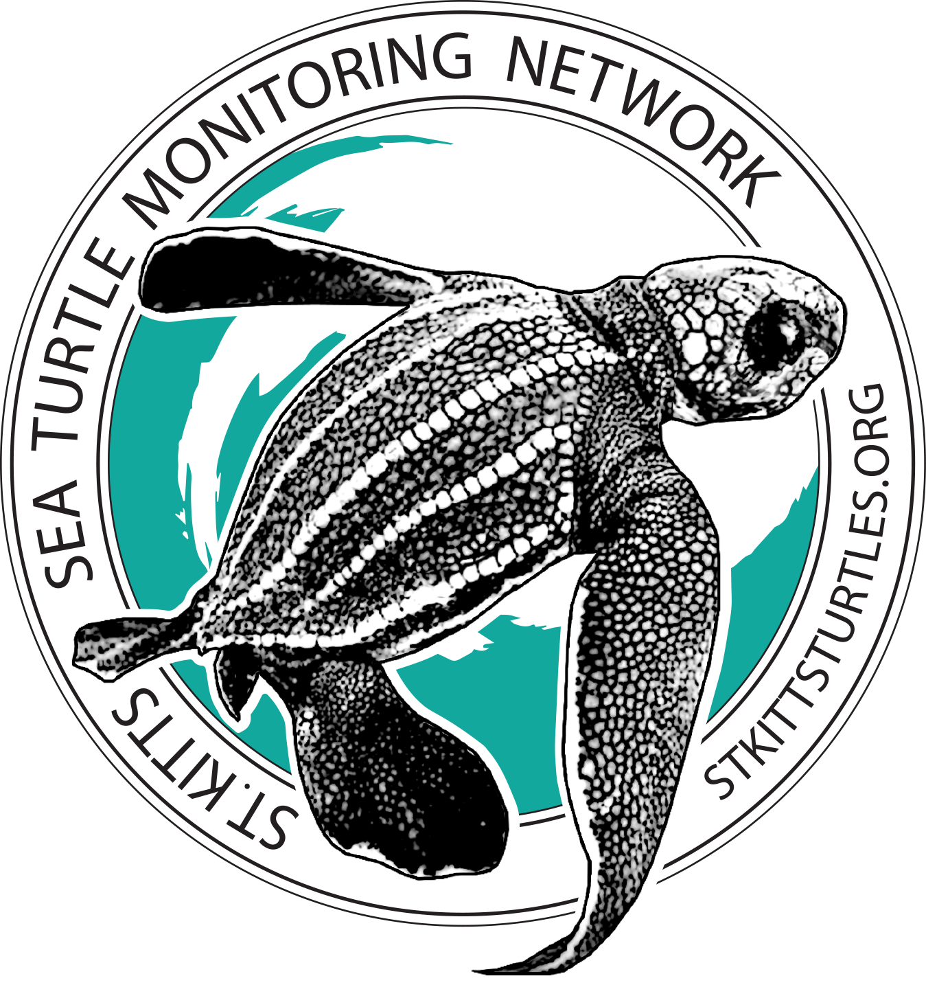 Sea Turtle Conservation Education in St. Kitts | ST KITTS SEA TURTLE ...